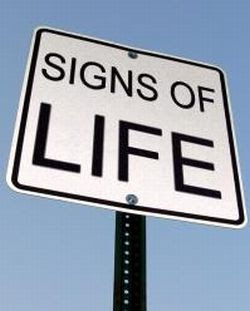 The Middle Road: Signs of Life