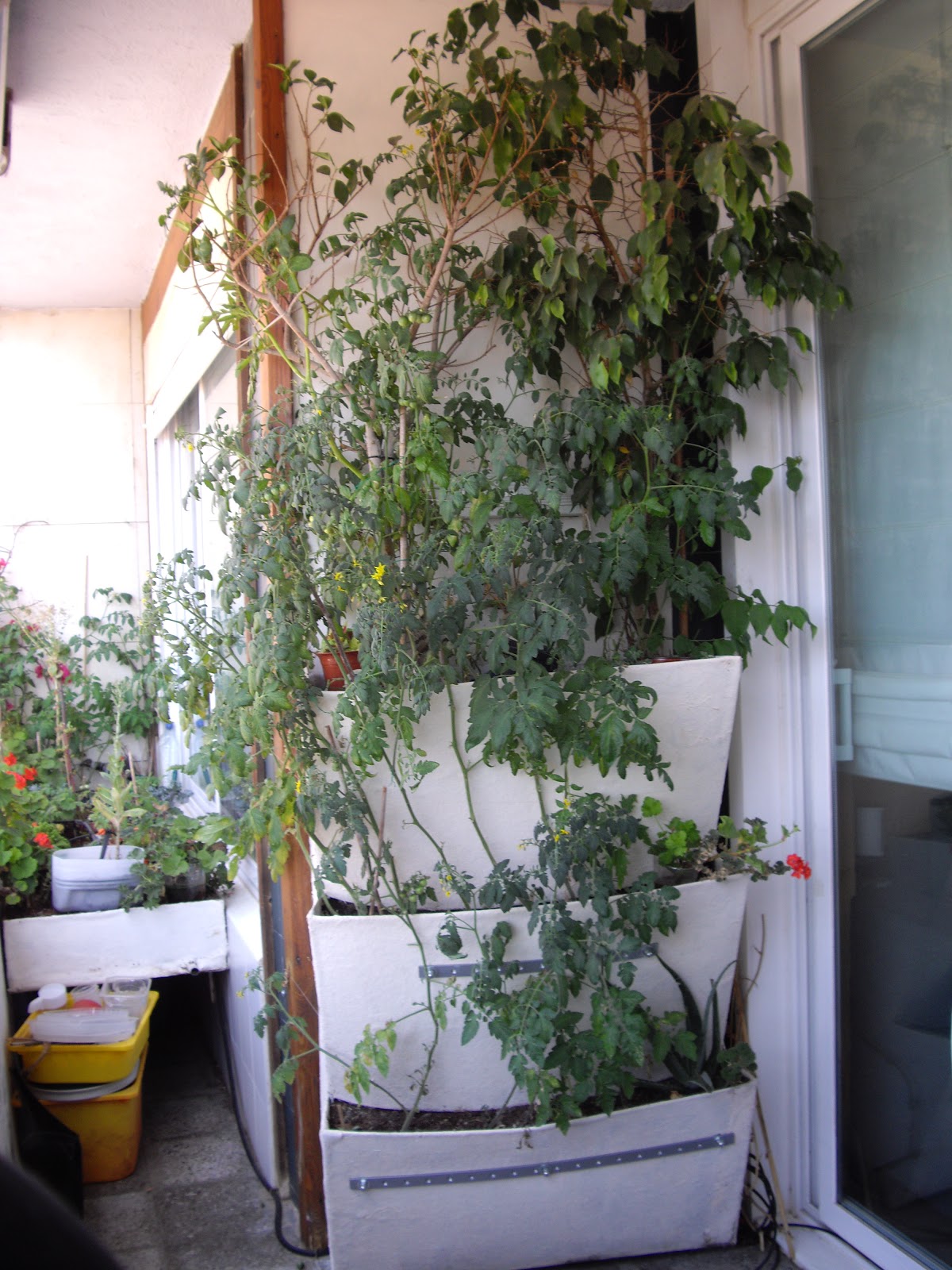 EL BLOG DE LA NATURACIÓN: MUROS VERDES Y JARDINES VERTICALES