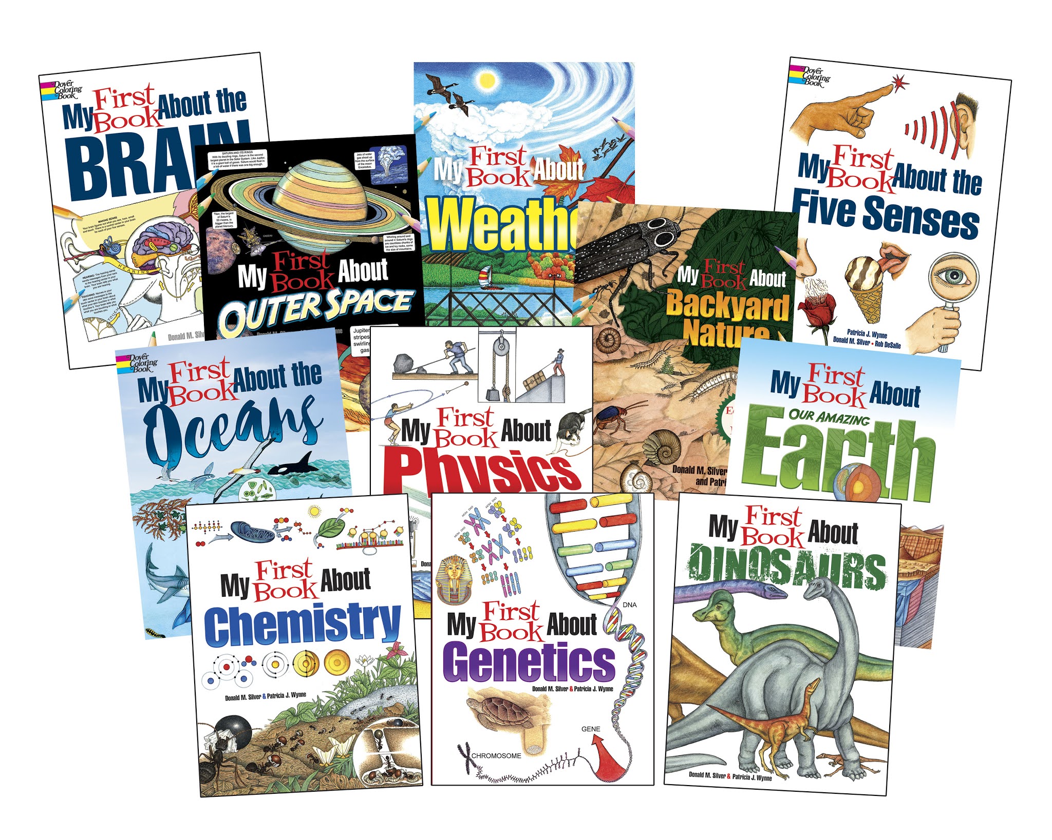 The Fairview Review: My First Book About Virtual Book Tour