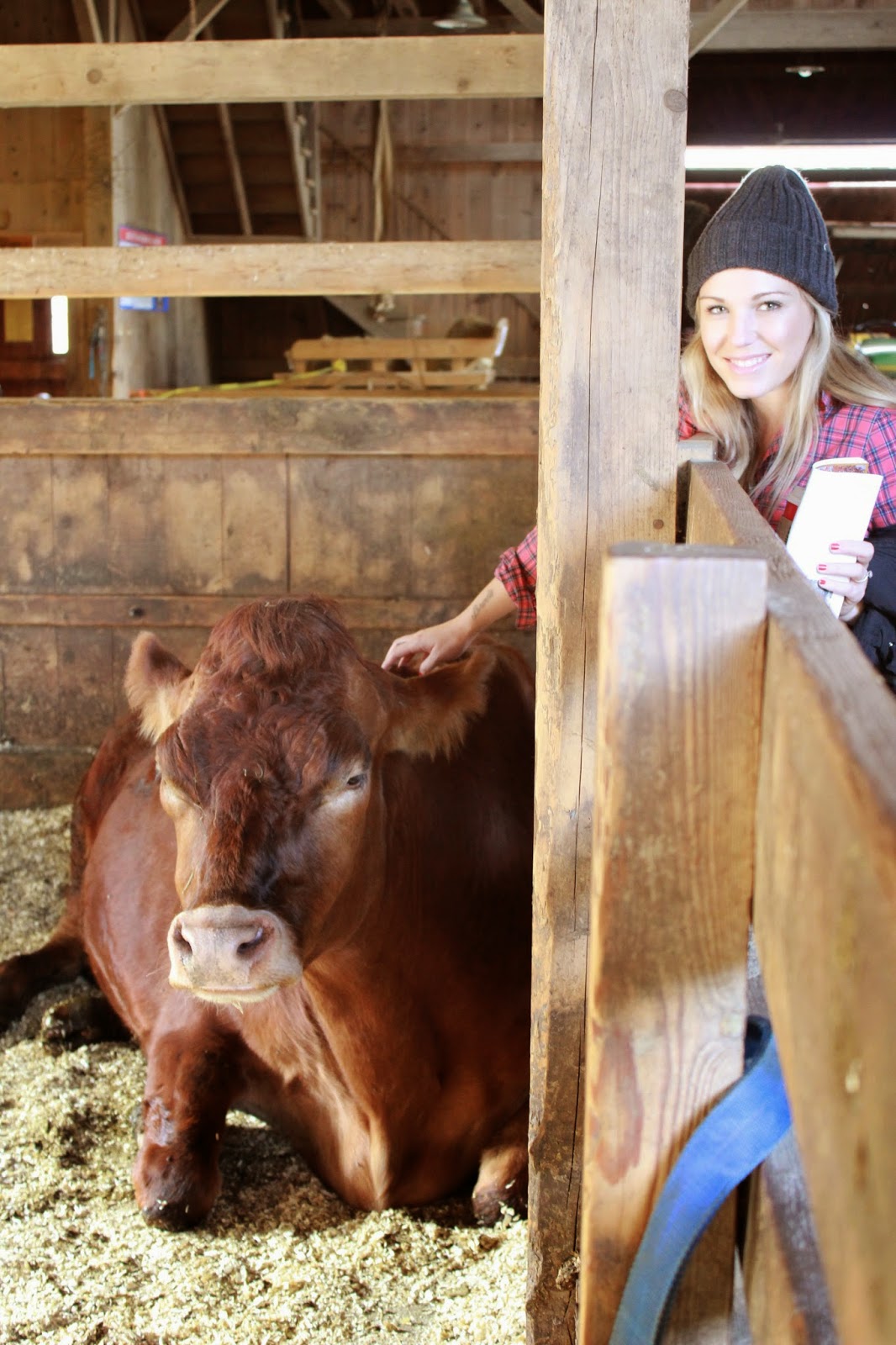 neta loves: | A DAY AT DRUMLIN FARM: