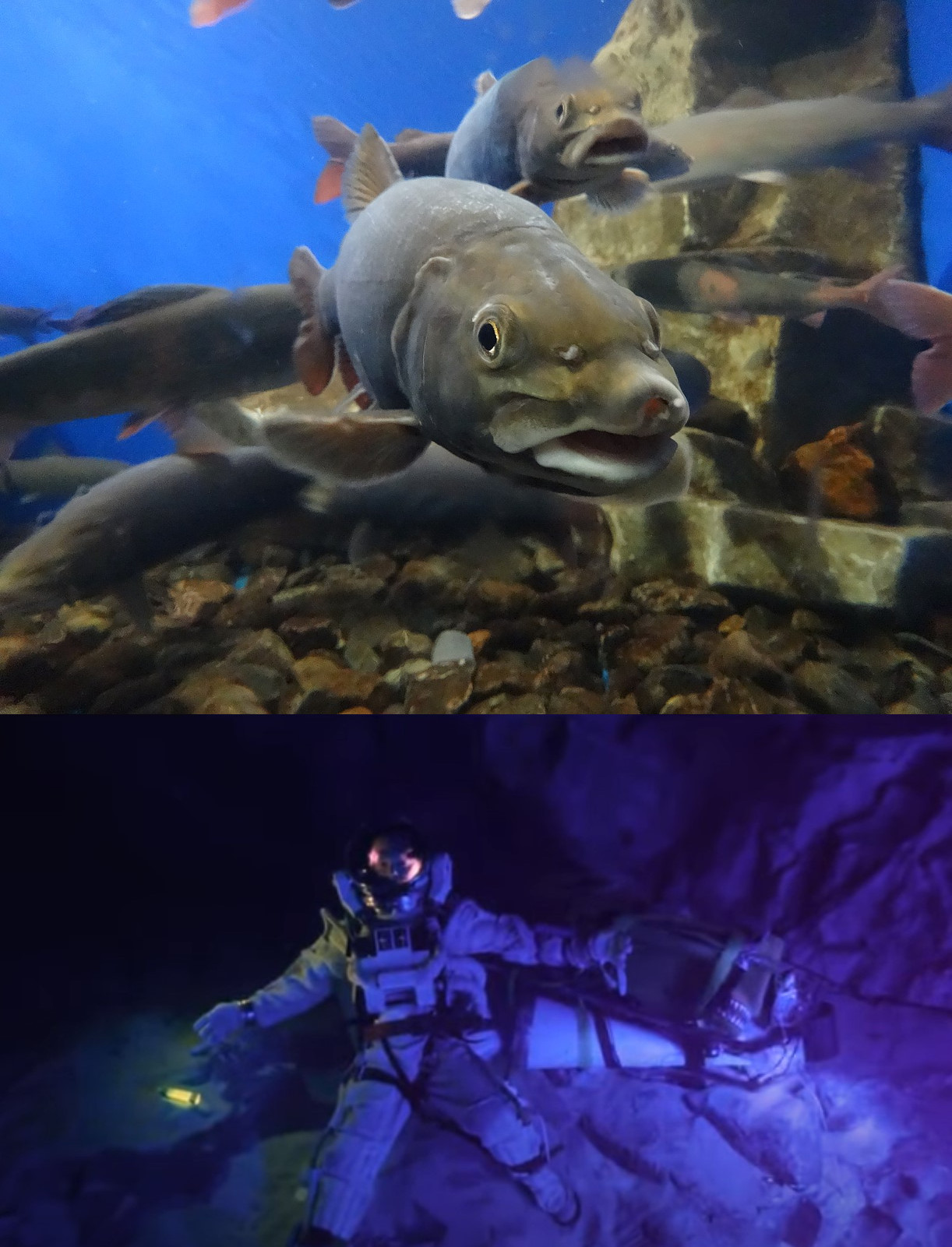 Where Is 'The Abyss'? (Or What's at the Bottom of the World's Oldest ...