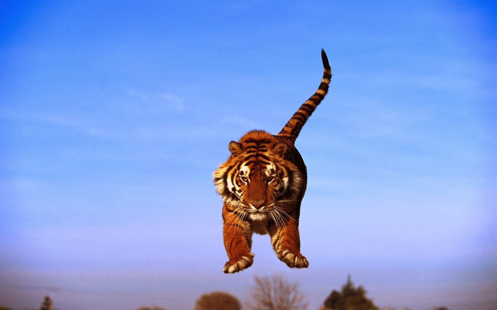 Fond Ecran Pc: Meilleurs Fonds Ecrans Ultra HD