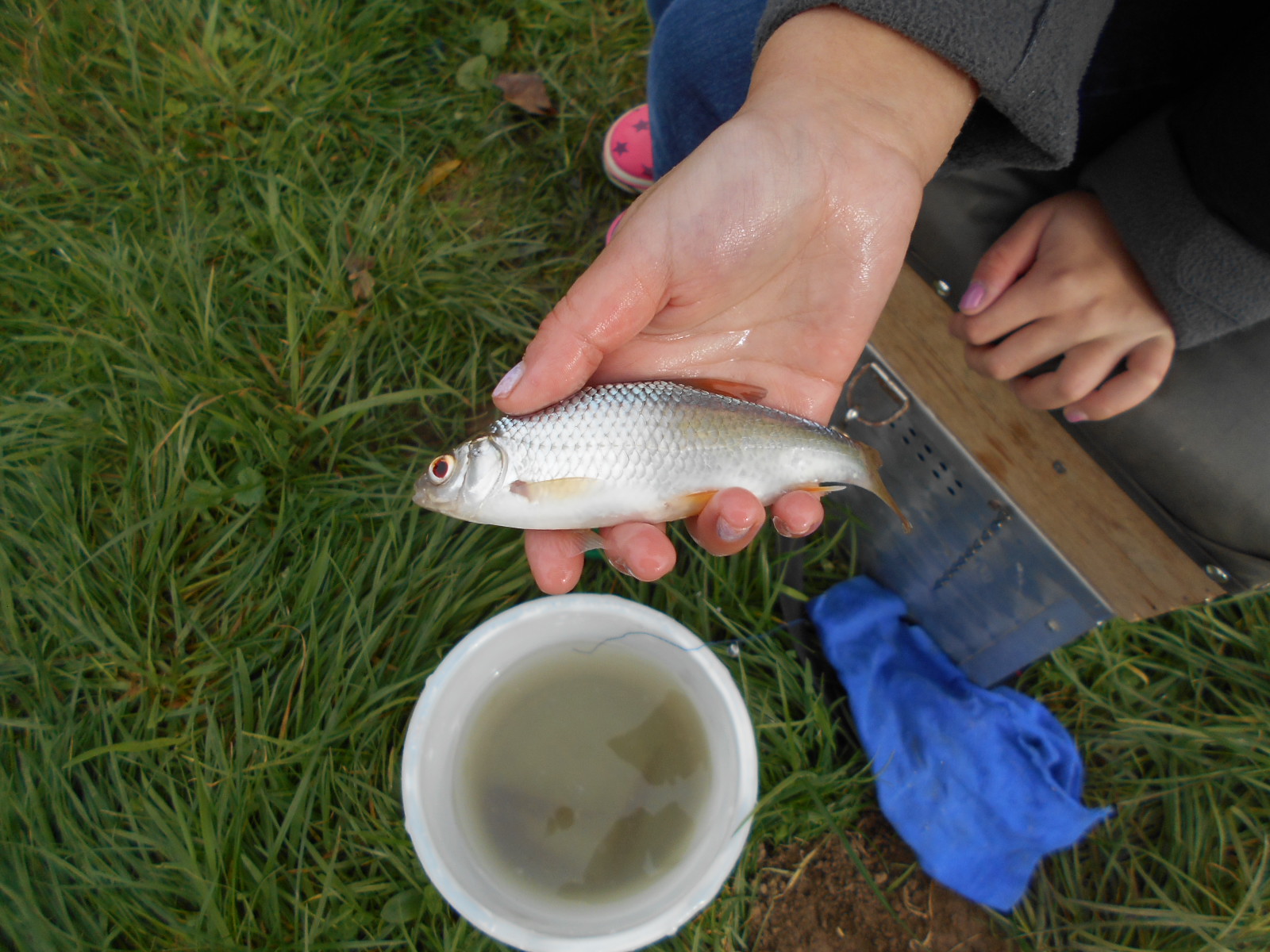 "La Bouvière": 2019
