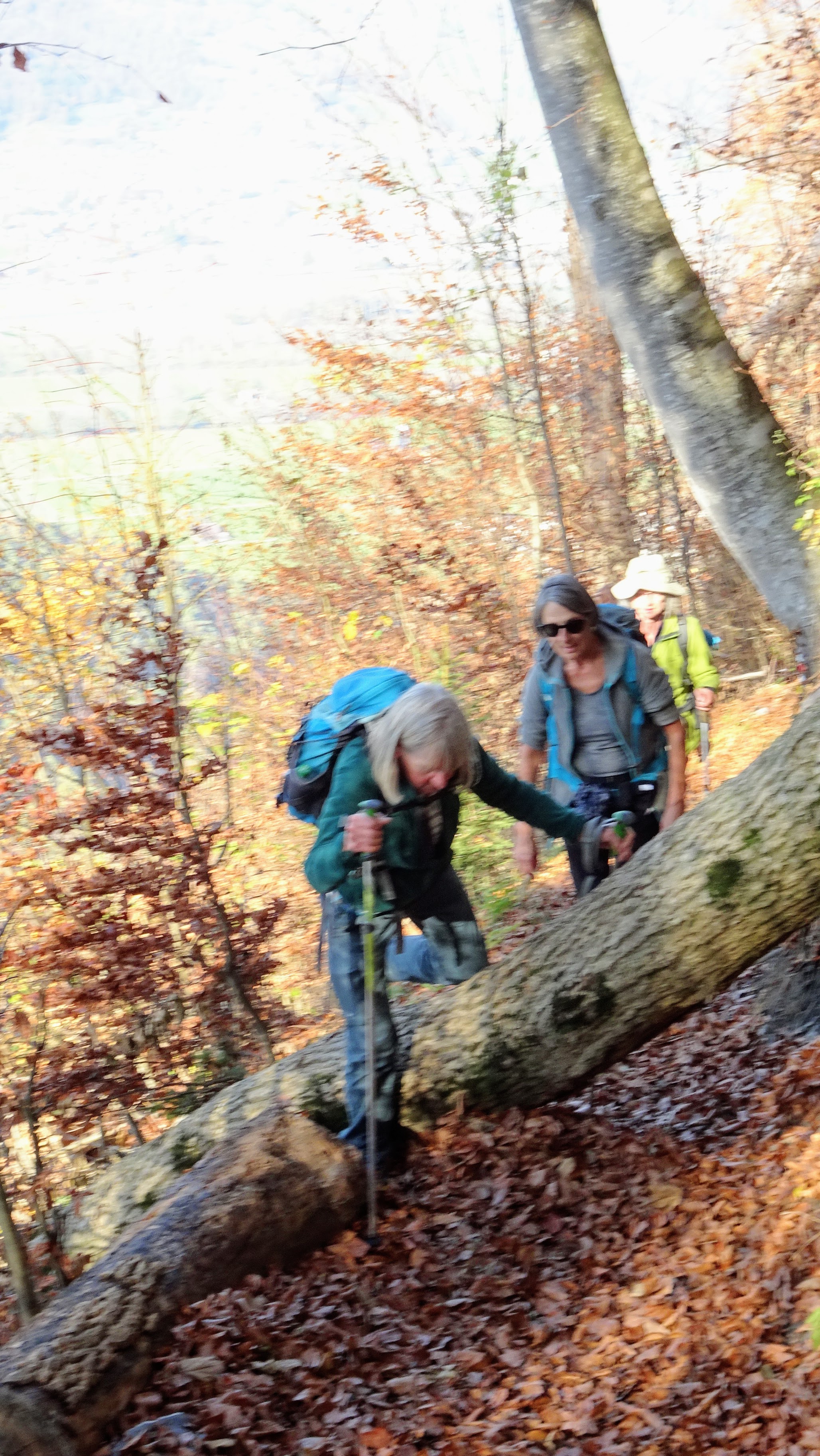 Rundwanderung ab Fläsch über den Regitzer Spitz (GR) – Wandern mit Freunden