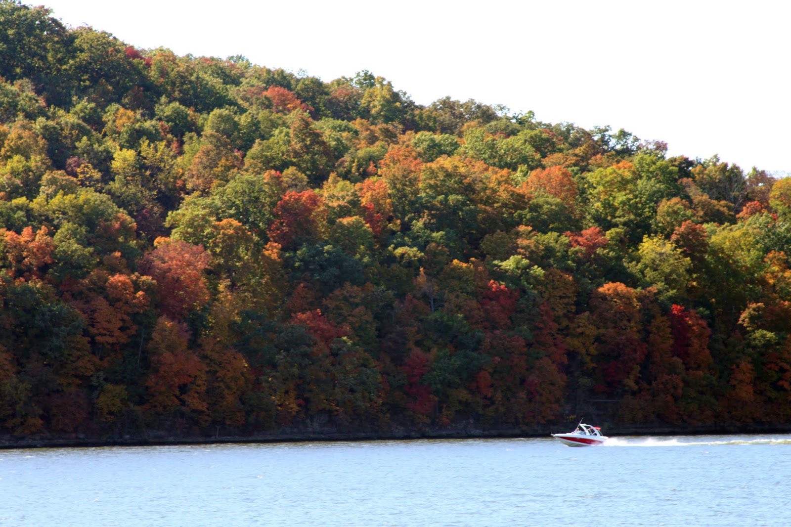 Enjoying the Lake of the Ozarks’ Fall Foliage
