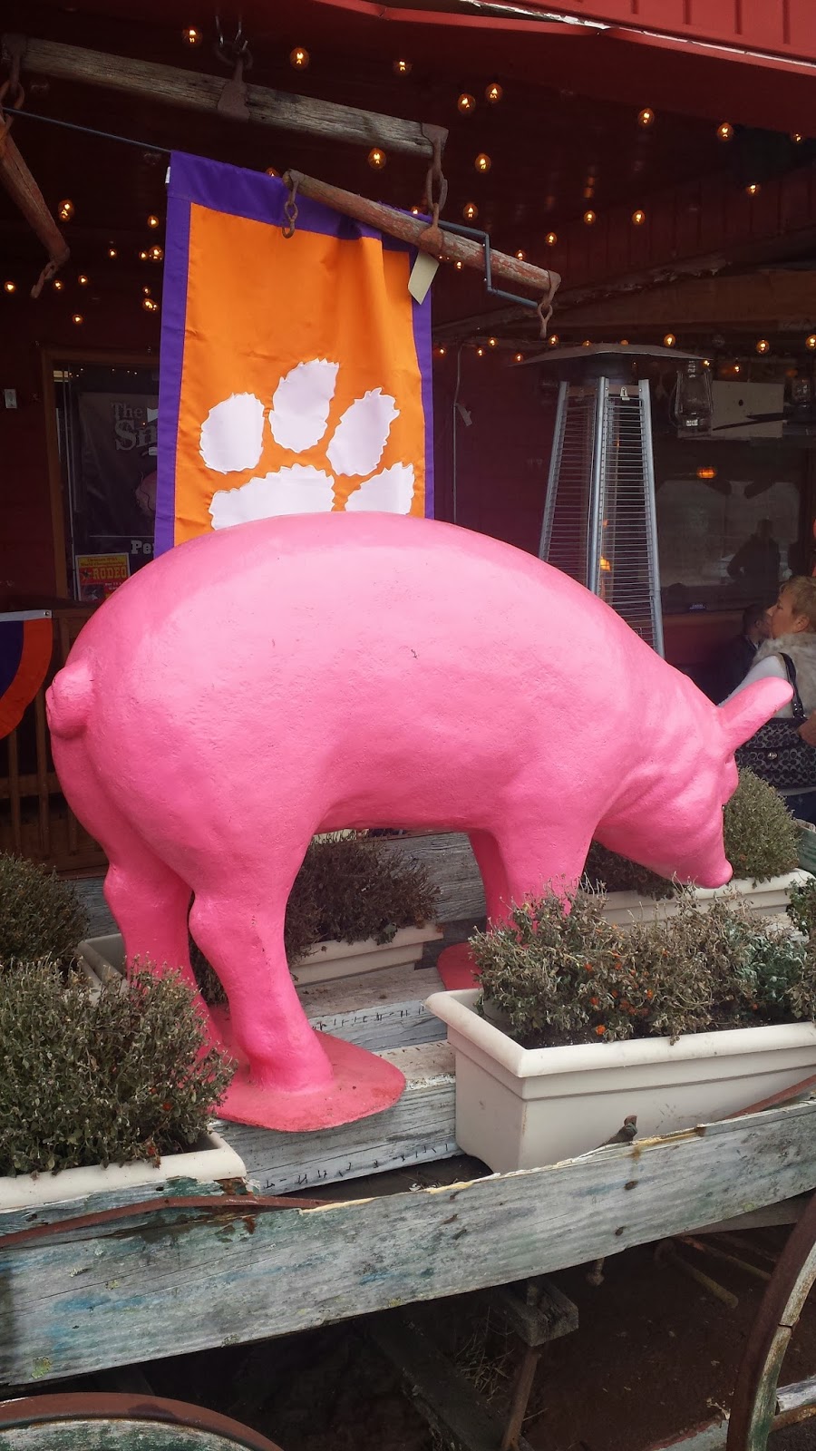 College Football Road Trips: November 2013