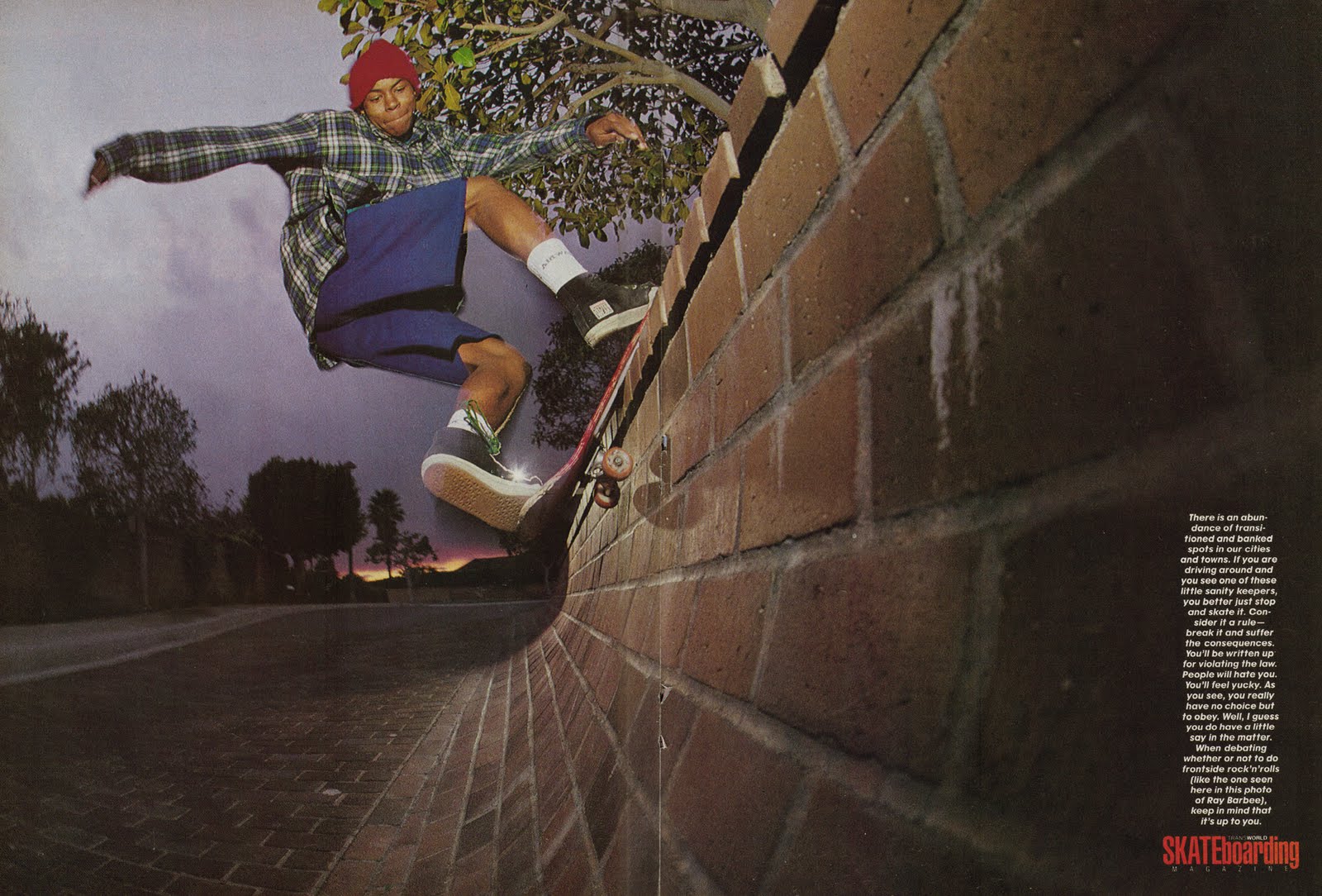 the chrome ball incident: chrome ball interview #104: ray barbee