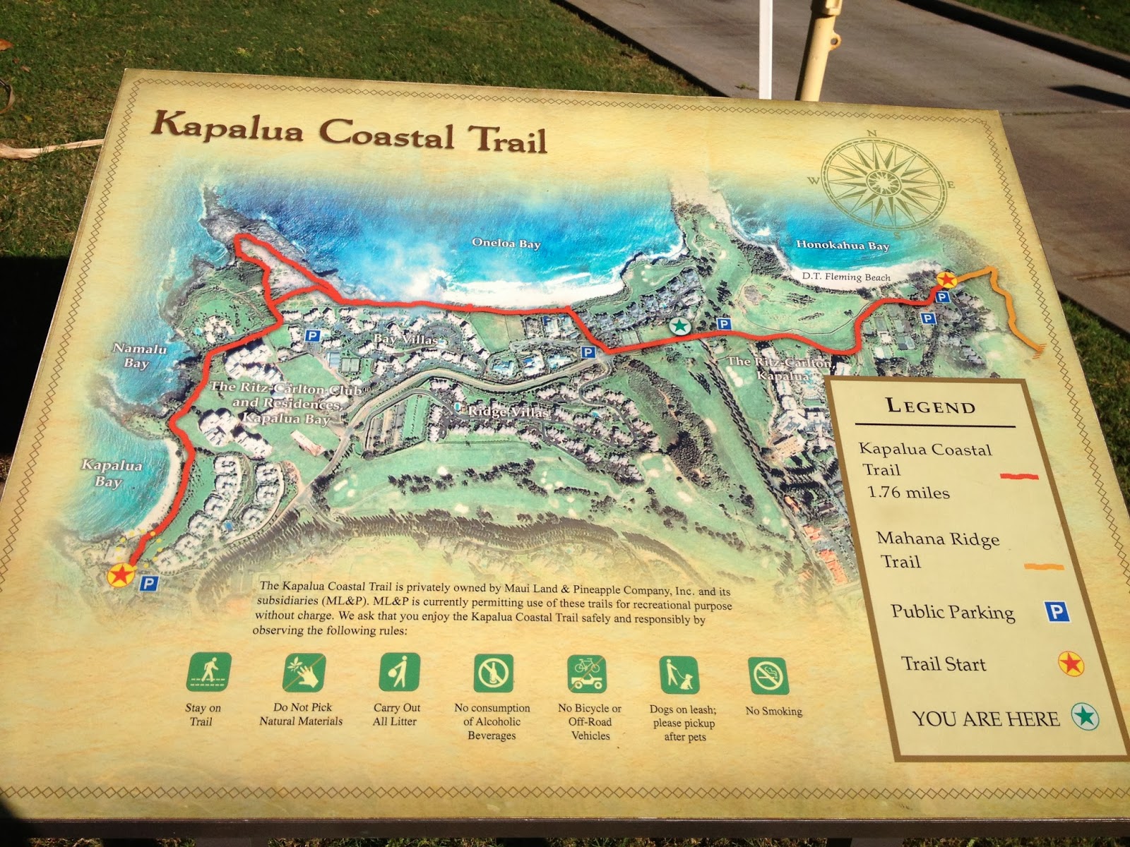 Maui Guide to Having Fun: Kapalua Coastal Trail