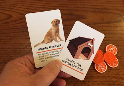 The Playful Otter: Sequence Dogs