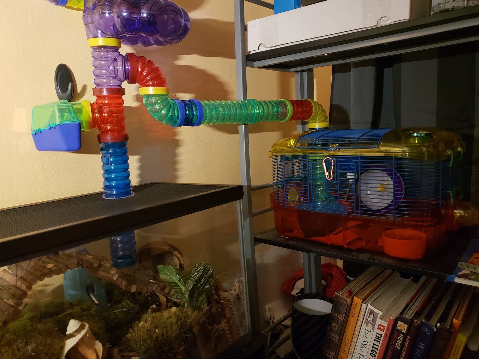 Putting the cage together.