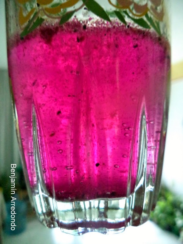 El Bable: Los garambullos una fruta común en el Bajío