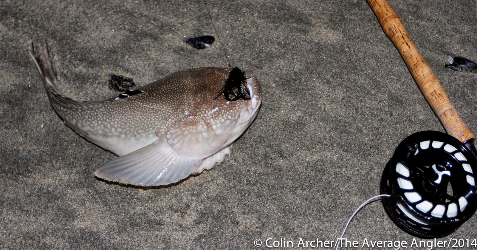 The Average Angler: 09.25.14 Angry ocean and one "angry fish".....