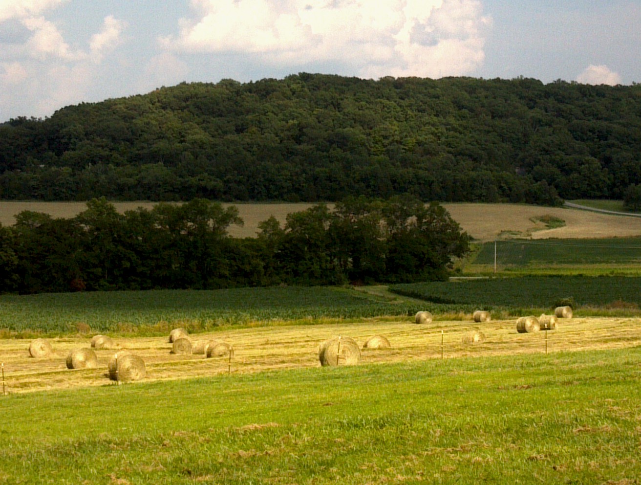 Divinebunbun's Rugged Rural Missouri: Farm Scenery