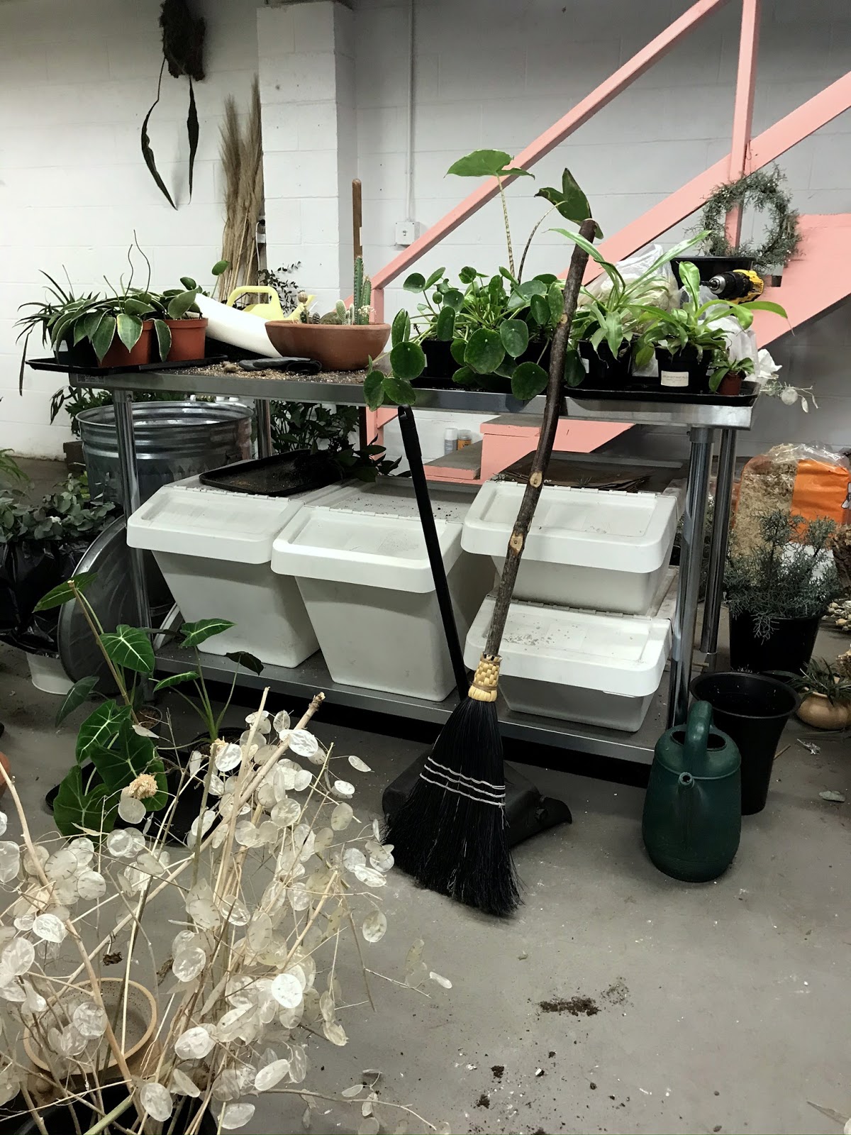 danger garden: Visiting Arium Botanicals, in Portland