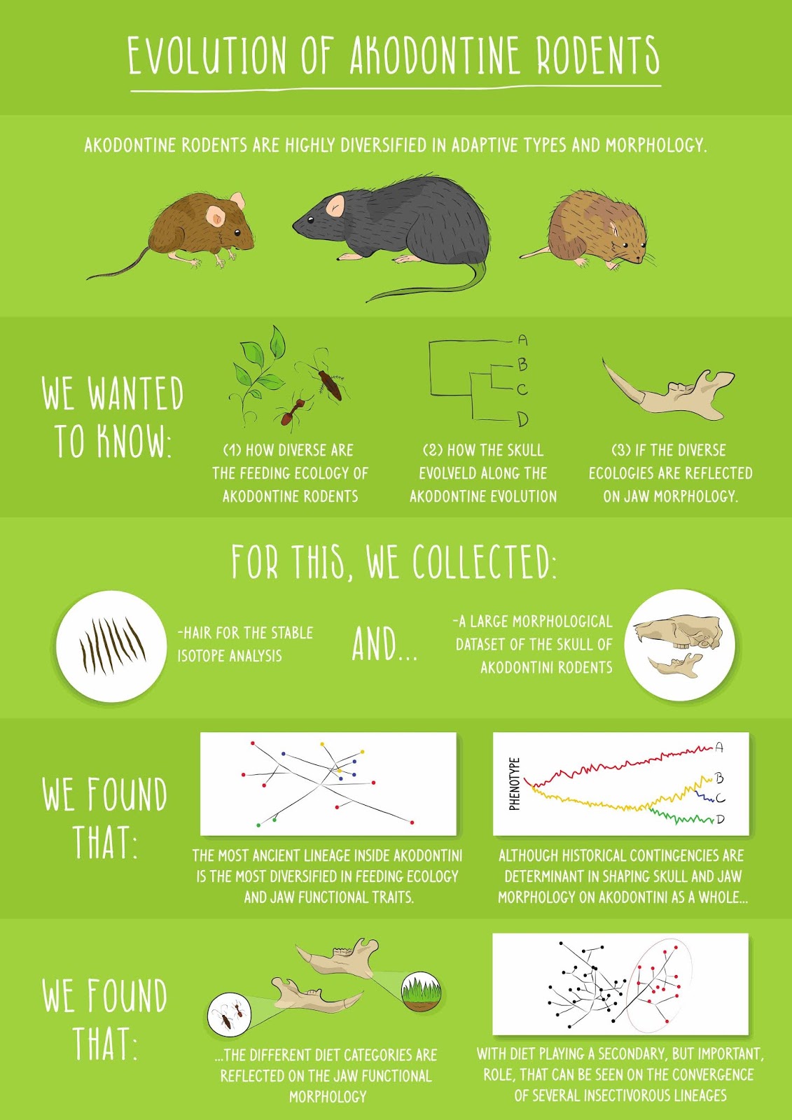 Better Posters: 2019