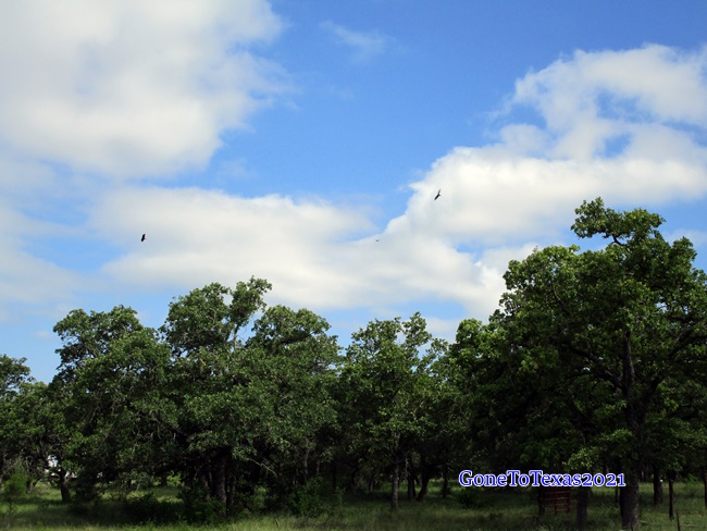 Gone To Texas: Friedrich Christoph Heinrich Kensing and Mathilde Lemburg
