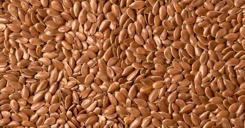 TISI SEEDS 500 GM | City Mart Cart Muzaffarpur's 1st Online Grocery ...