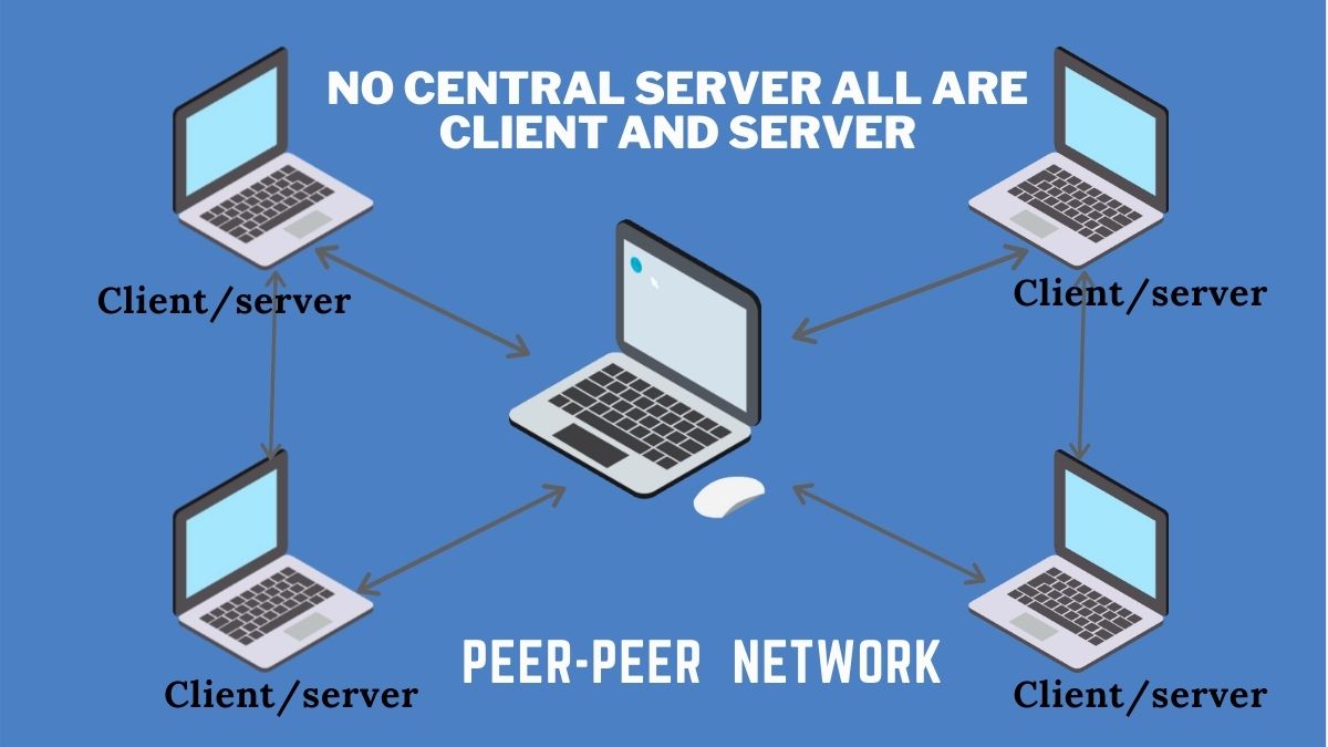 Networking and Telecommunications Class 10 Computer Science Chapter 1
