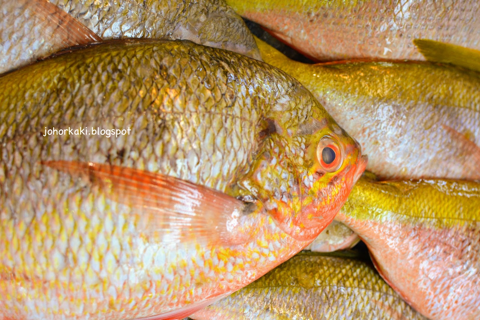 Honest Review of Song Kee Fishball @ 100 Yio Chu Kang. Flagship Stall ...
