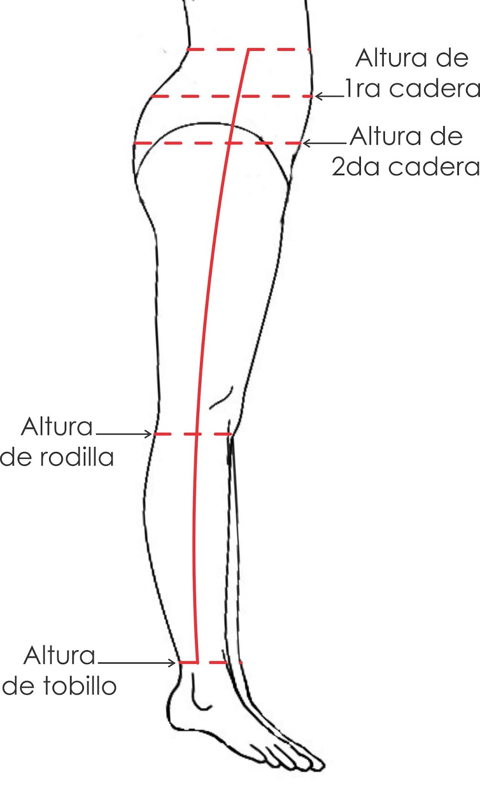 Aprendemos a tomar medidas