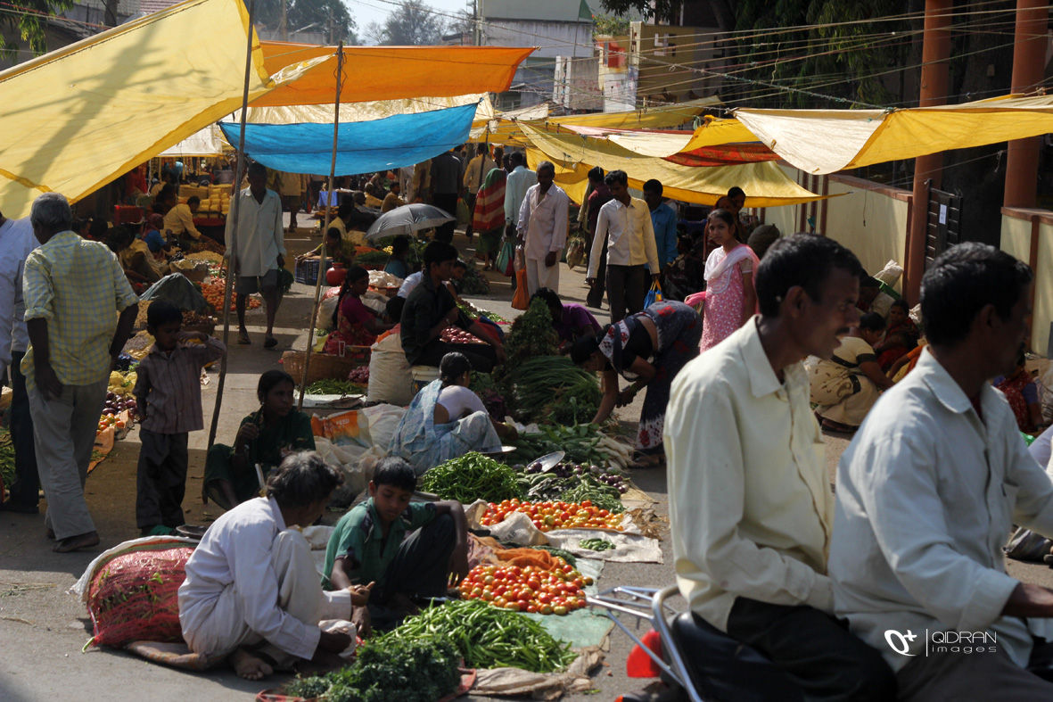 qidr.an ©: Dandeli Trip 2013 | Hubli-Dandeli route