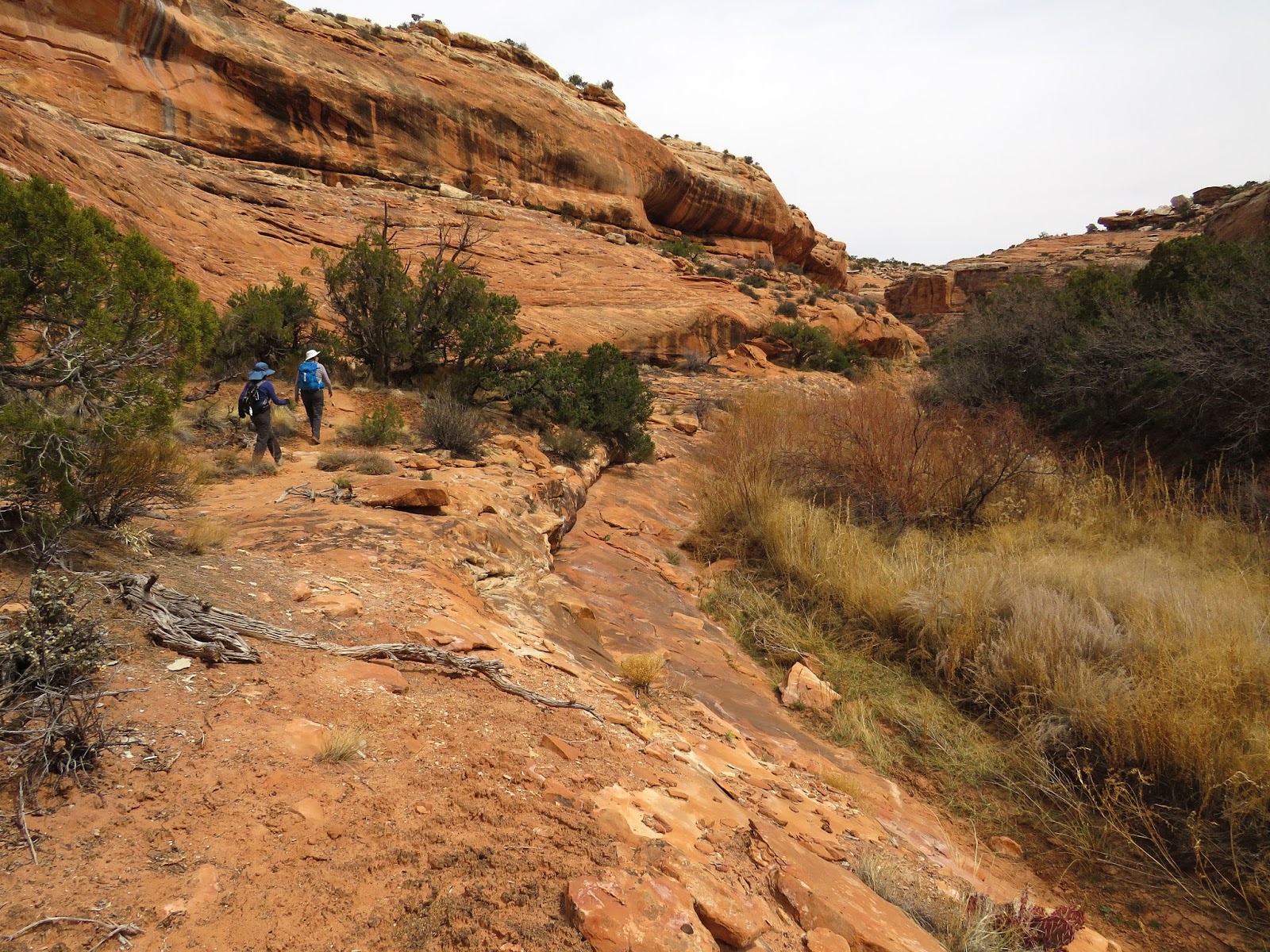 Around the Bend Friends ®: Fallen Roof Ruins & Seven Kivas - Road ...
