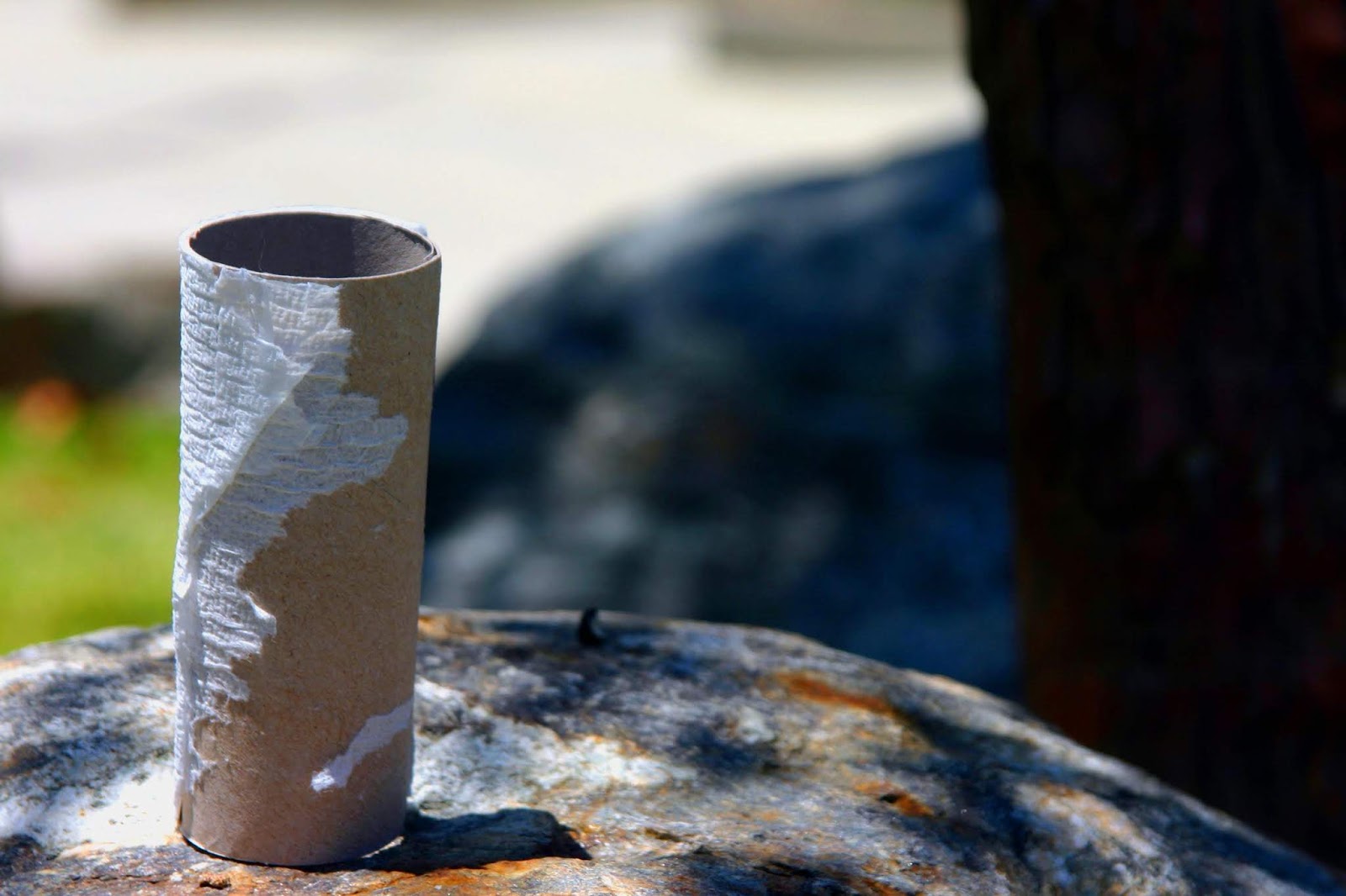 Steatorrhea and Bone Broth...Can Bone Broth Make You Sick?