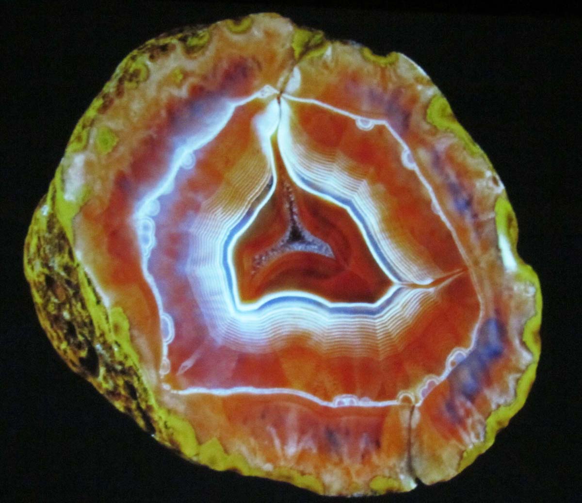 The Agatelady: Adventures and Events: The Celebration of Agates ...