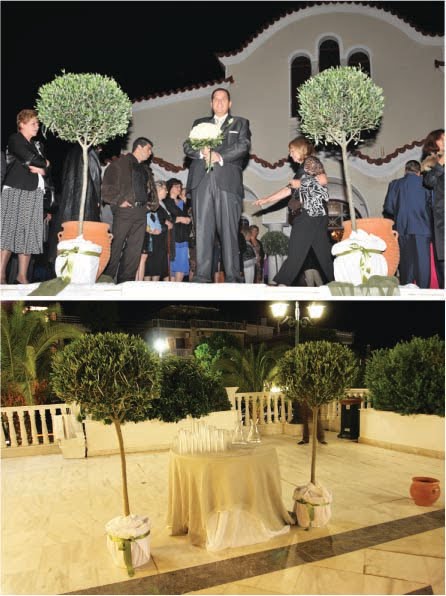Olive tree wedding
