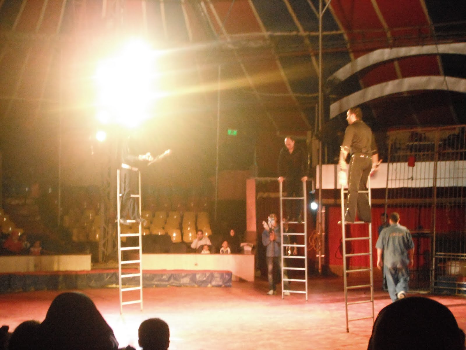 Carol, Jeff, and Cameron in Cairo: Circus in Cairo, Egypt