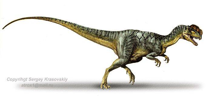 Los animales en la prehistoria: Animales prehistóricos con la letra D