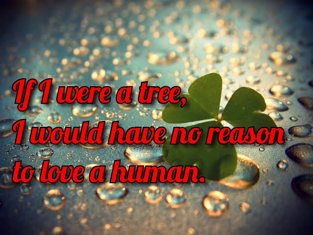 100+ best Nature Quotes of all Time in English