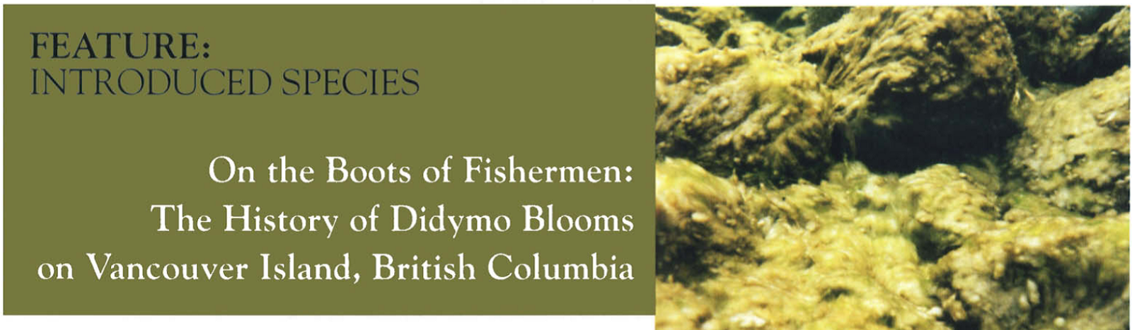 Diatom of the month – August 2016: Didymosphenia geminata