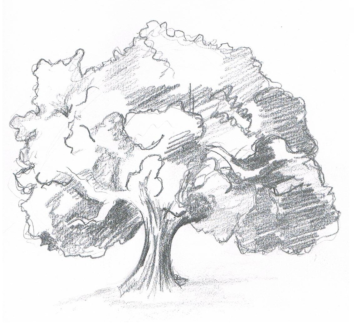 Piękna ty : Szkicowanie - coś, co mnie rajcuje!