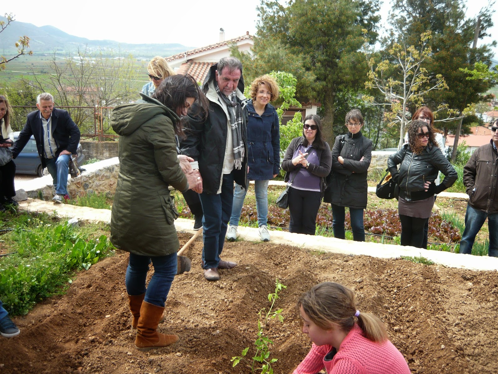 ΣΧΟΛΙΚΟΙ ΛΑΧΑΝΟΚΗΠΟΙ : ΟΙ ΚΗΠΟΙ ΤΩΝ ΣΧΟΛΕΙΩΝ ΤΗΣ Δ/ΣΗΣ Β/ΘΜΙΑΣ ΕΚΠ/ΣΗΣ ...