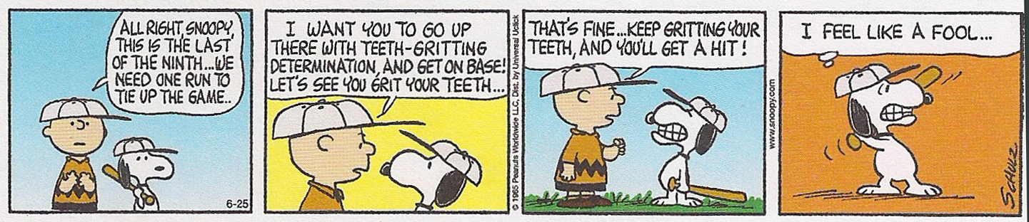 Jason's View from DC: Peanuts and Baseball