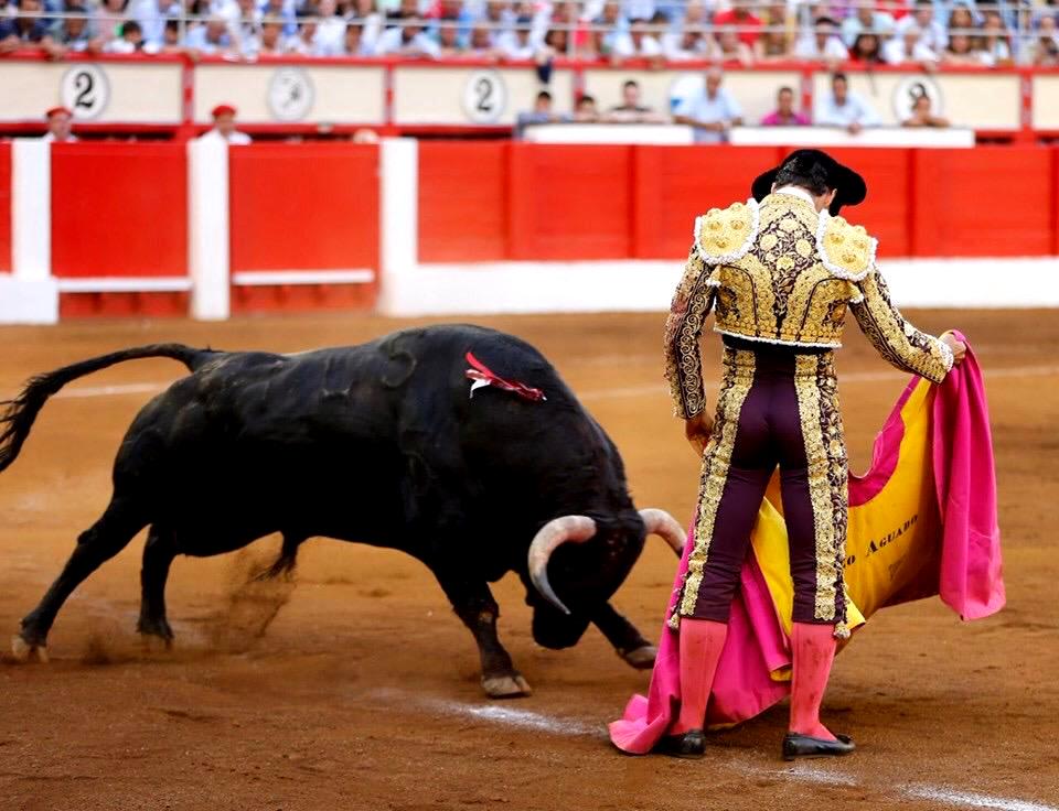 Toreo en Red Hondo: LAS VERDADES DEL TOREO DE VERDAD (18): ¿QUÉ ES EL ...