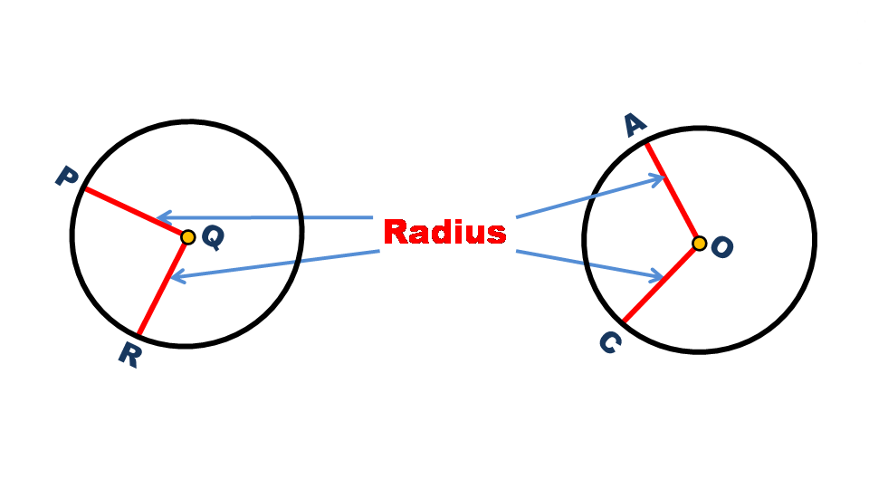 Circle Definition | Sector of Circle | Area and Circumference of Circle