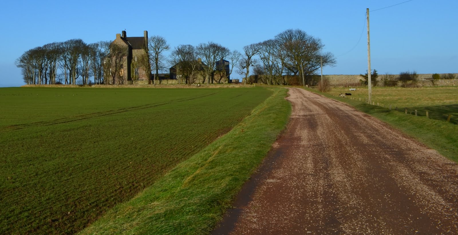 Tour Scotland: Tour Scotland Photographs Balcomie Castle Crail East ...