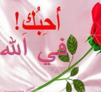 Teenoz Health Analyst: Surat Cinta dari Manusia-Manusia yang Malamnya ...