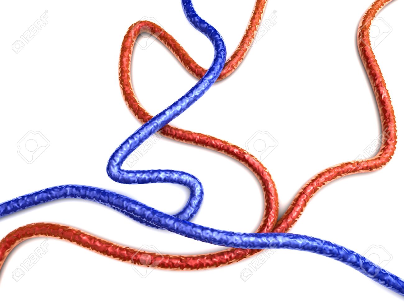 Maestro Juan Antonio: LAS VENAS