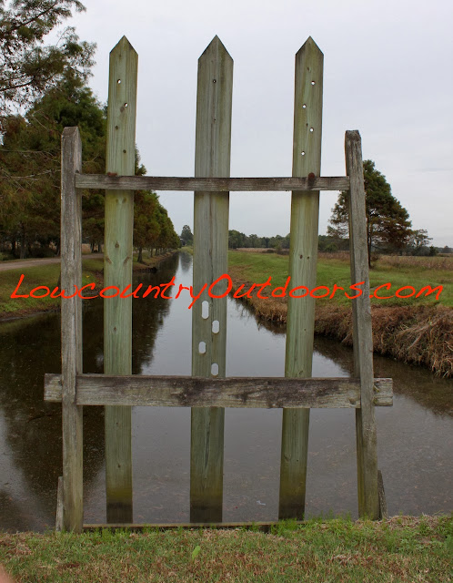 Lowcountry outdoors: Rice Trunks integral to managing waterfowl areas
