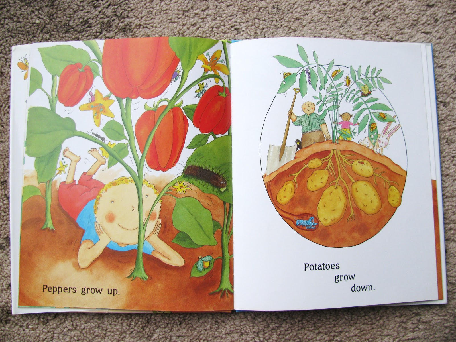 Our Favorite Gardening Books for Kids - Proverbs 31 Homestead