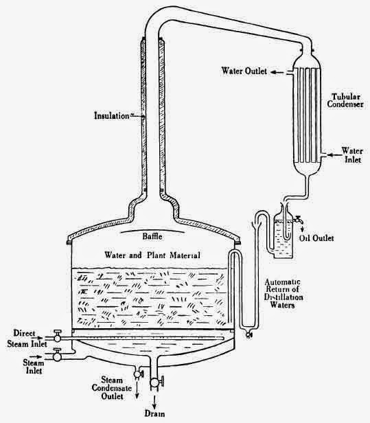 Practical Problems Connected with Essential Oil Distillation
