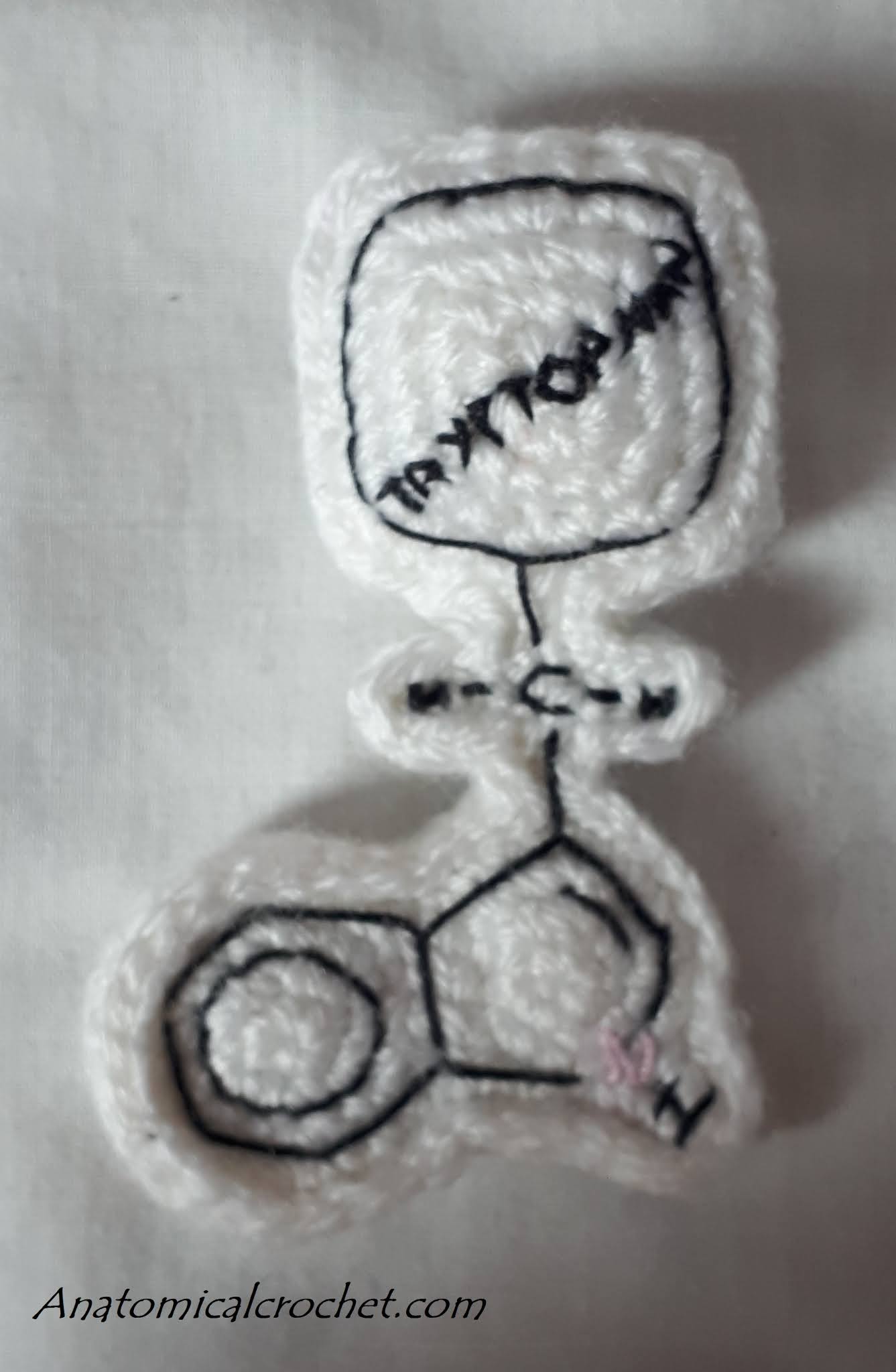 Adventures into Anatomical Crochet: Amino acids side chains