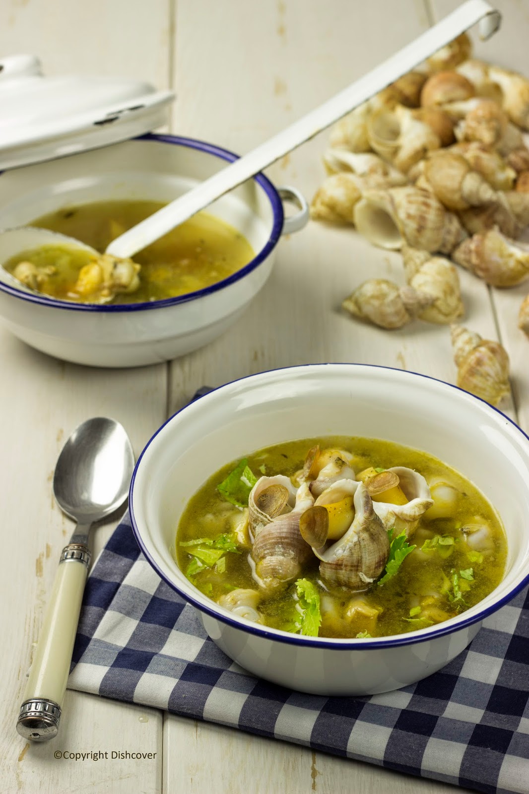 Caracollen - Dishcover