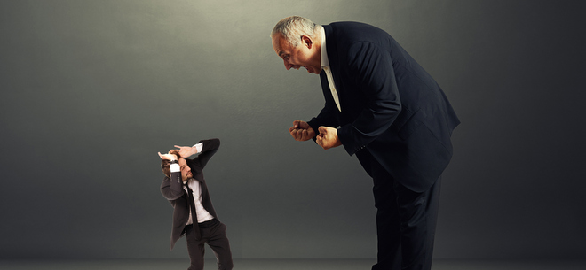 Bullying of Academics in Higher Education: Working with an unsupportive ...