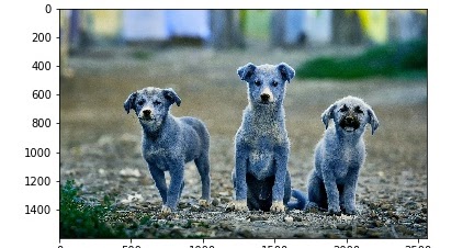 GrabCut: object extraction by separating the foreground and background ...