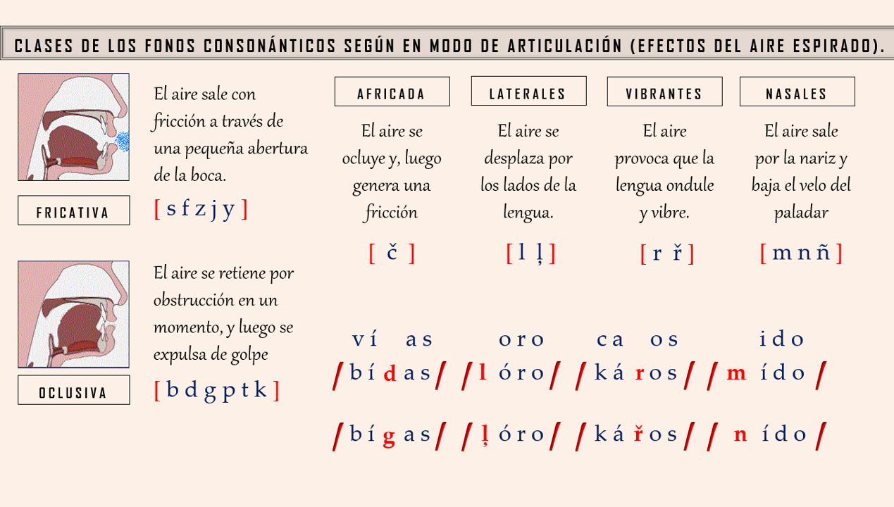 FONOLOGÍA Y FONÉTICA