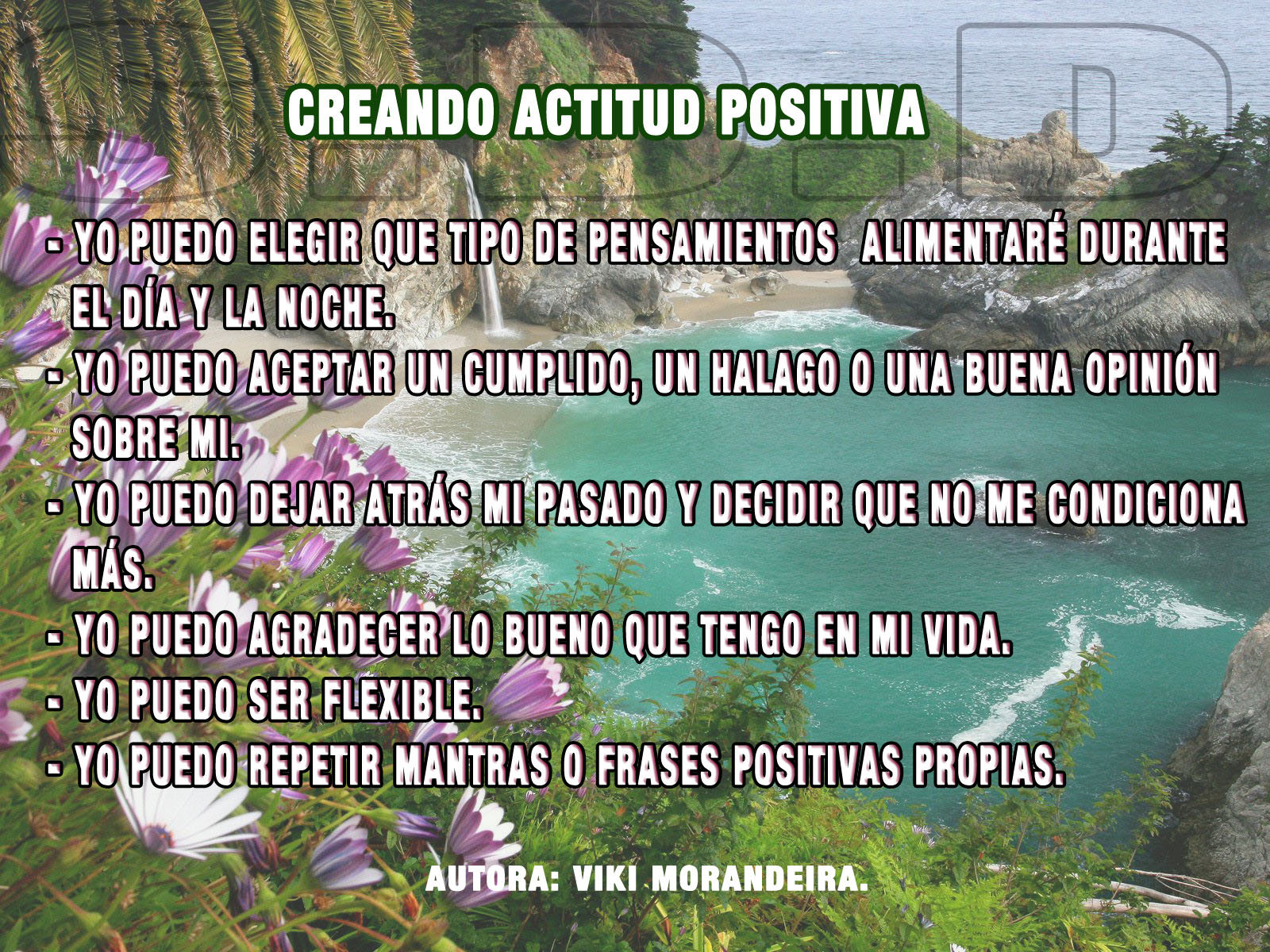 Reflexiones para despertar: Creando actitud positiva